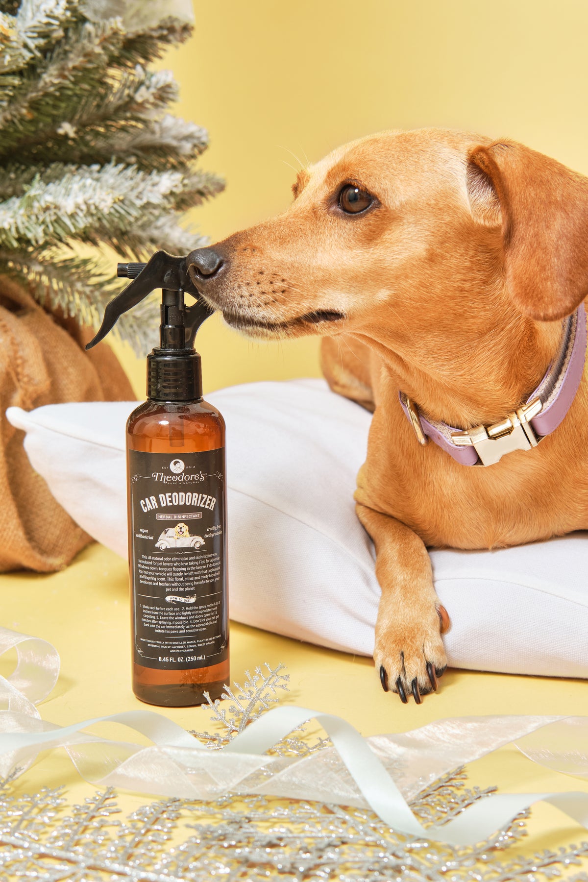 Car Deodorizer – Theodore's Home Care