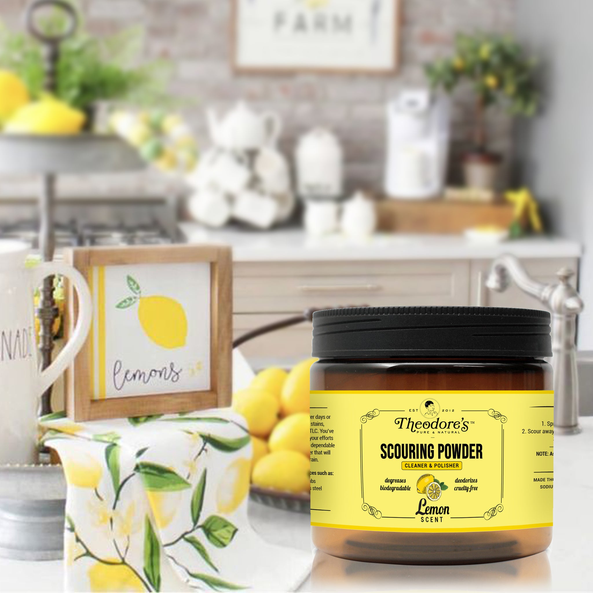 Scouring Powder – Theodore's Home Care